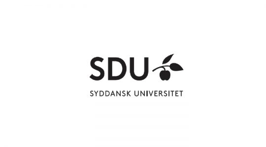 Tre internationale PhD-studerende beskriver deres ophold på SDU – Dansk ...
